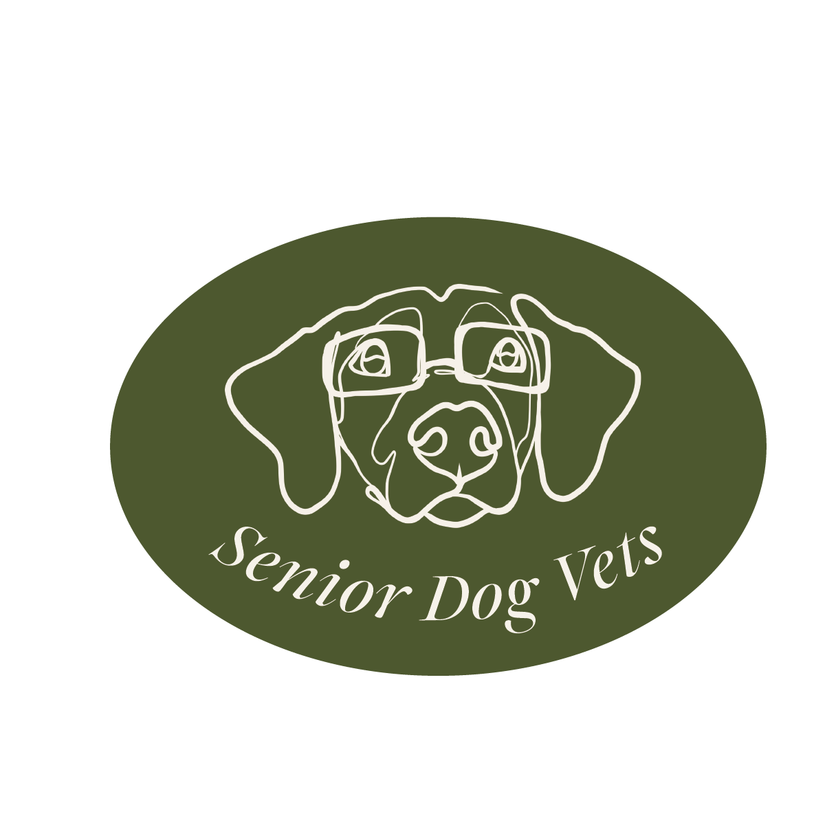 Common Behavior Changes in Your Senior Dog and How You Can Help | PetMD